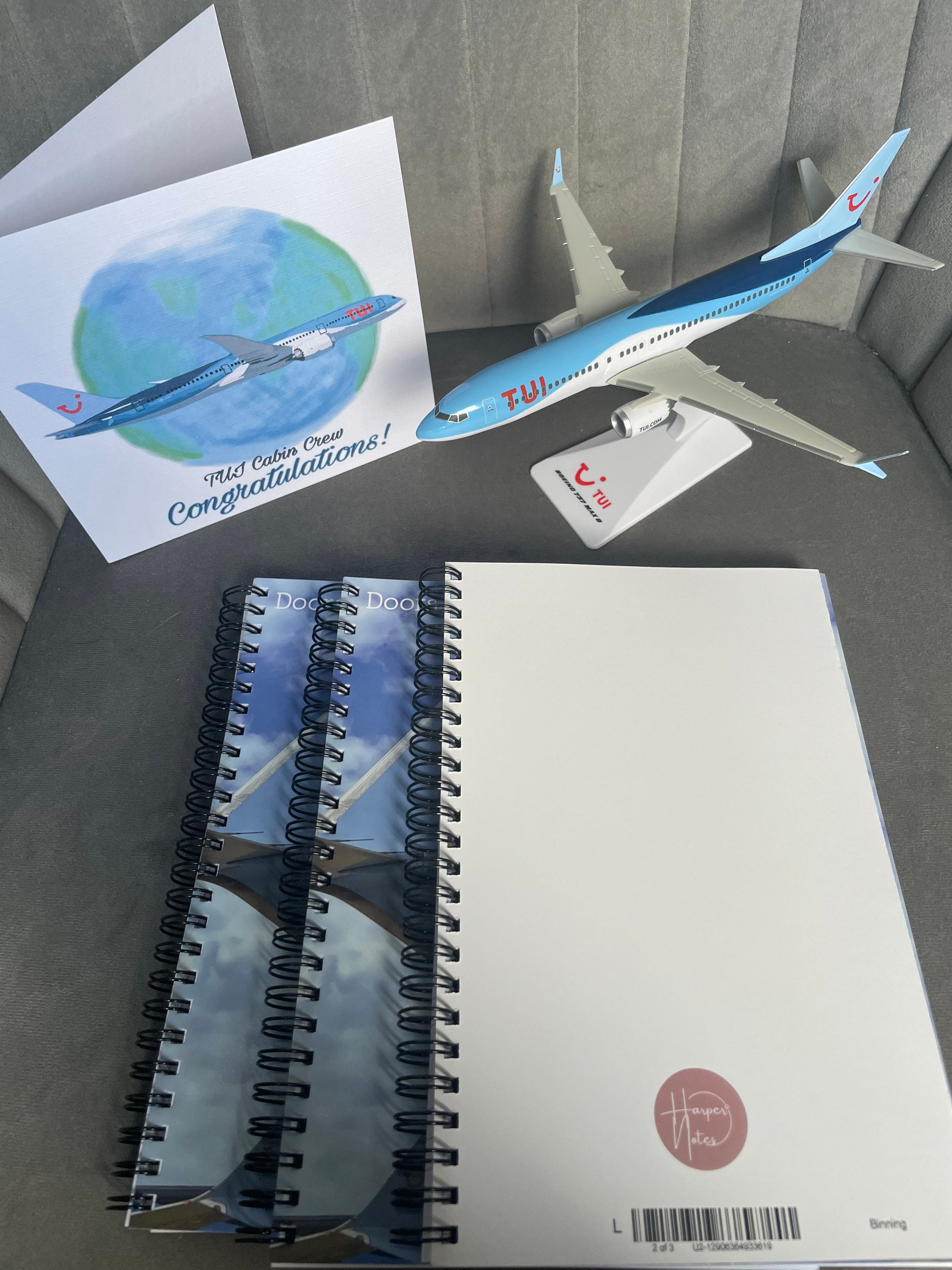 TUI Airline Avgeek Aviation Gift Cabin Crew Pilot - Etsy