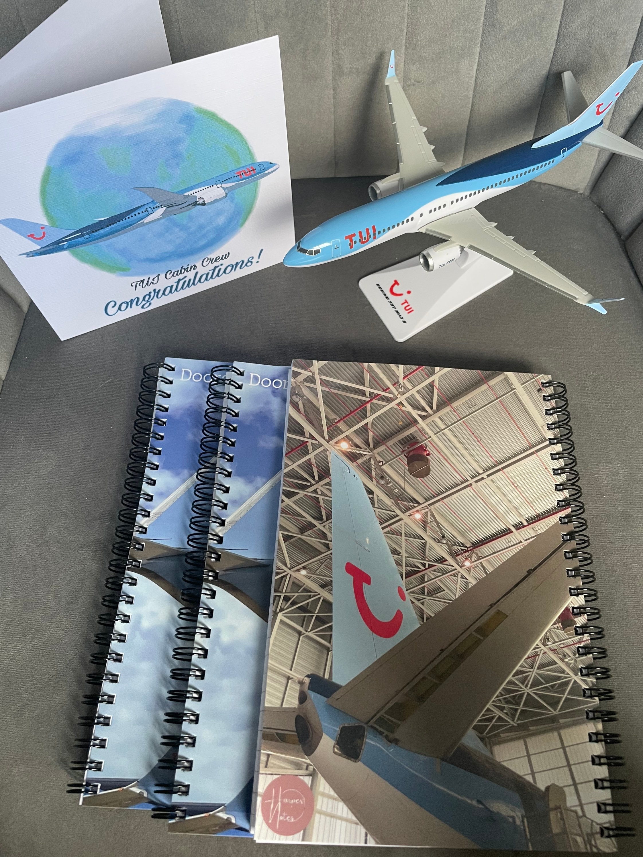 TUI Airline | Avgeek | Aviation Gift | Cabin Crew | Pilot | New Job ...