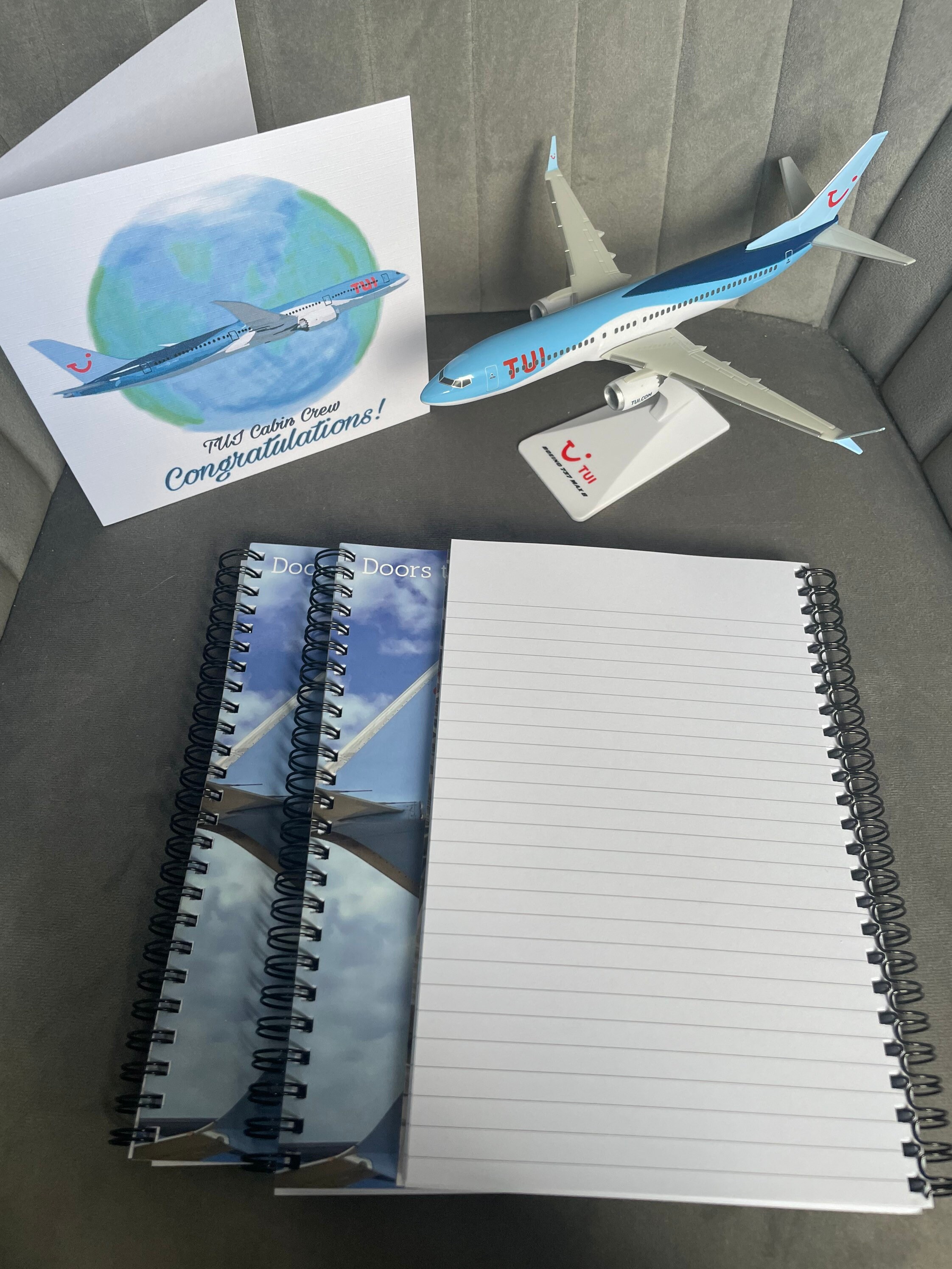 TUI Airline Avgeek Aviation Gift Cabin Crew Pilot - Etsy