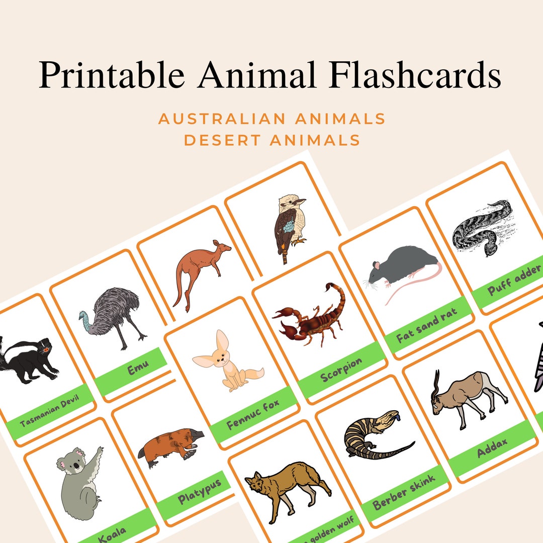 Animal Flashcards Australian Animals Desert Animals - Etsy