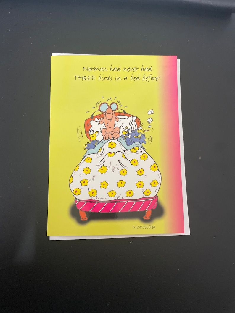 Three Birds in Bed Rude Funny Birthday Greetings Card - Etsy