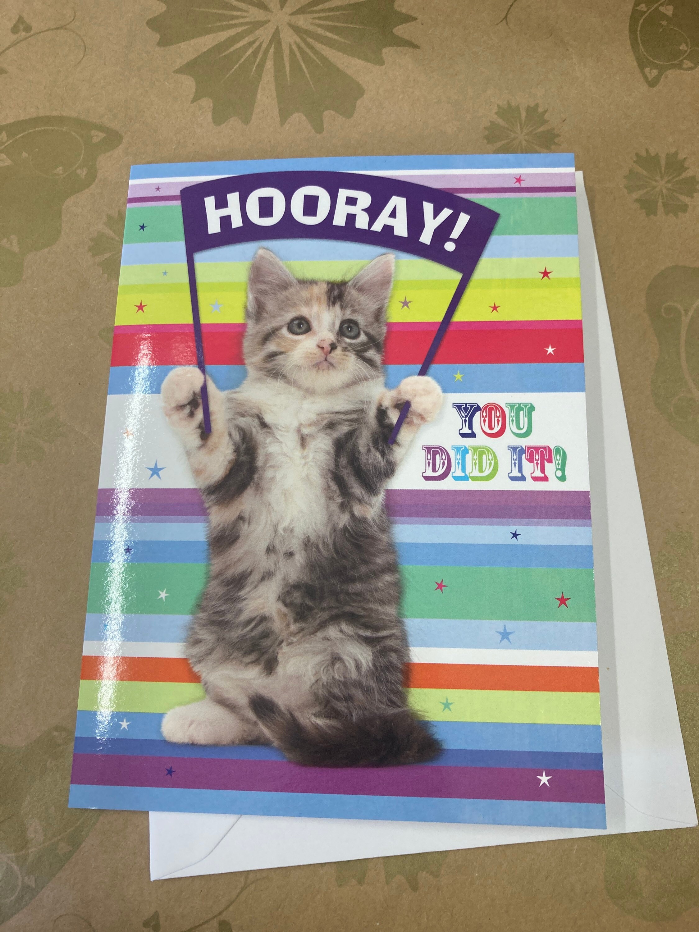 Hooray Cat