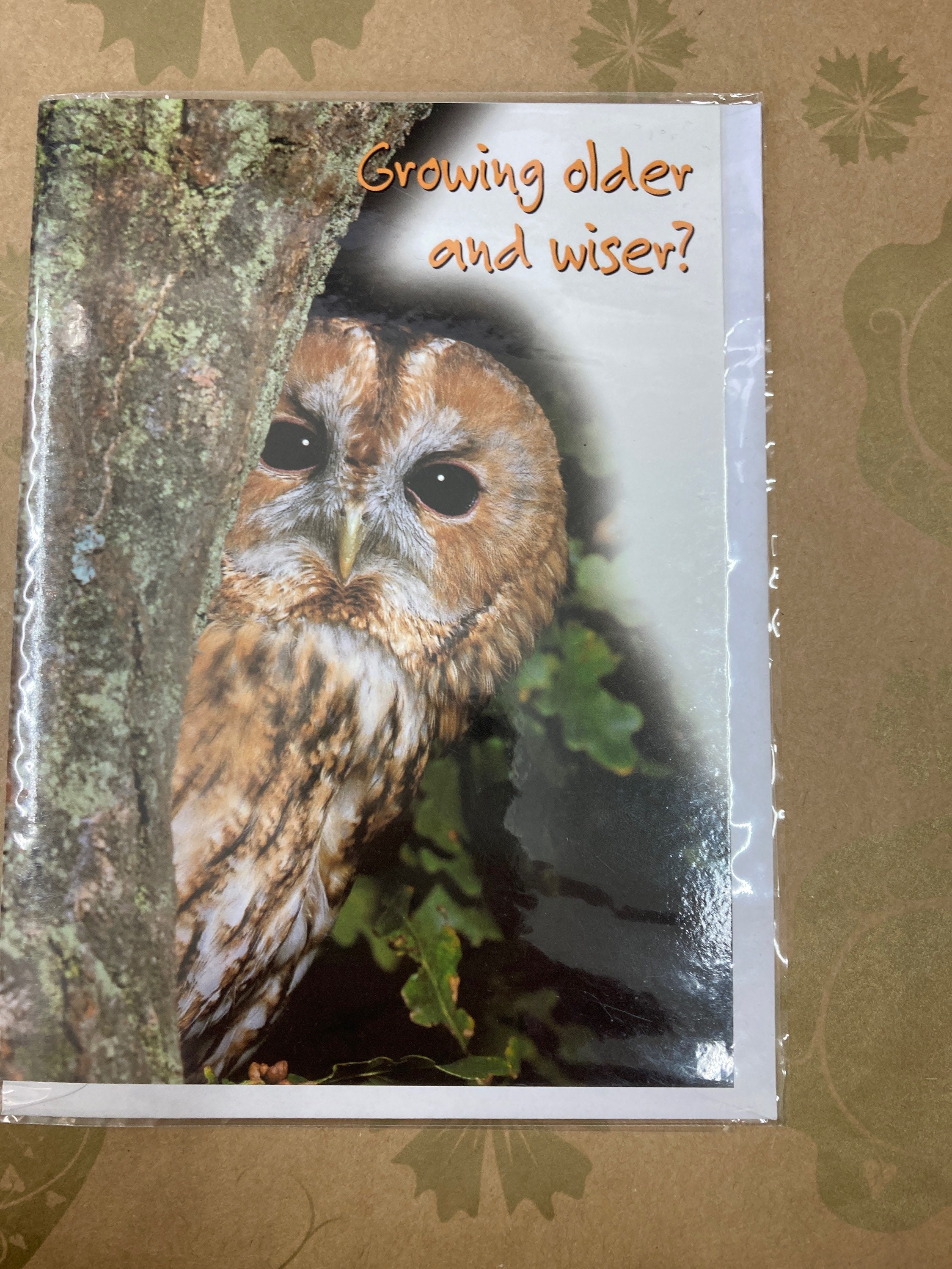 Growing Older Owl Birthday Greetings Card - Etsy