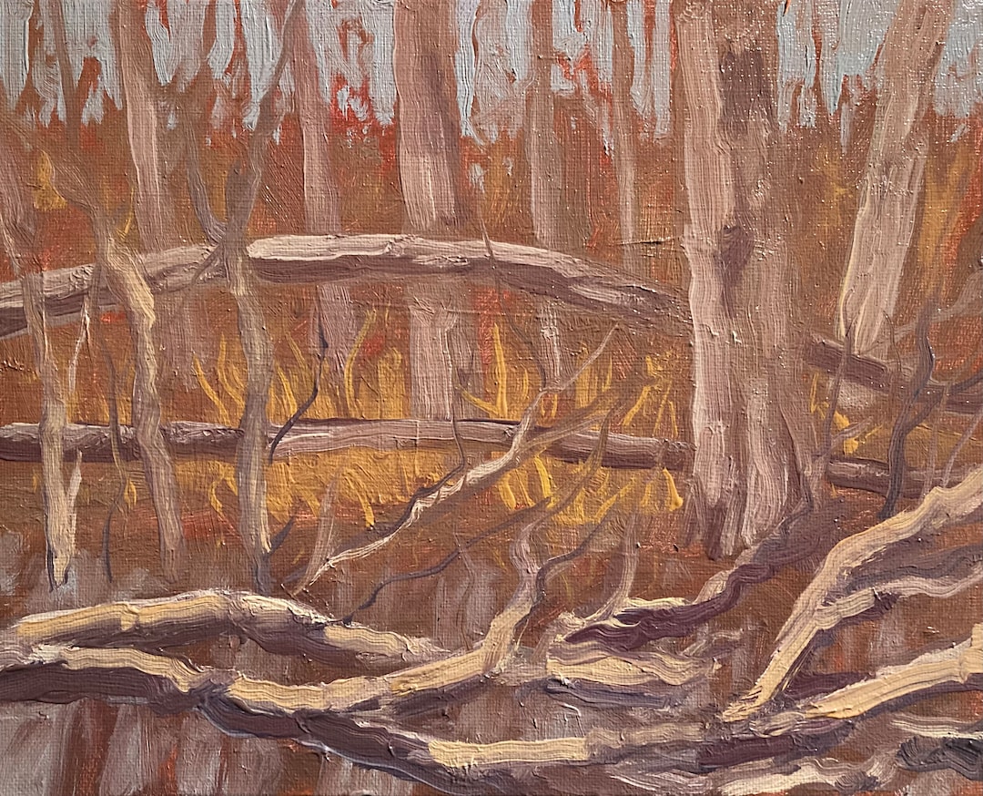 Woodland Swamp. Painted Plein Air - Etsy