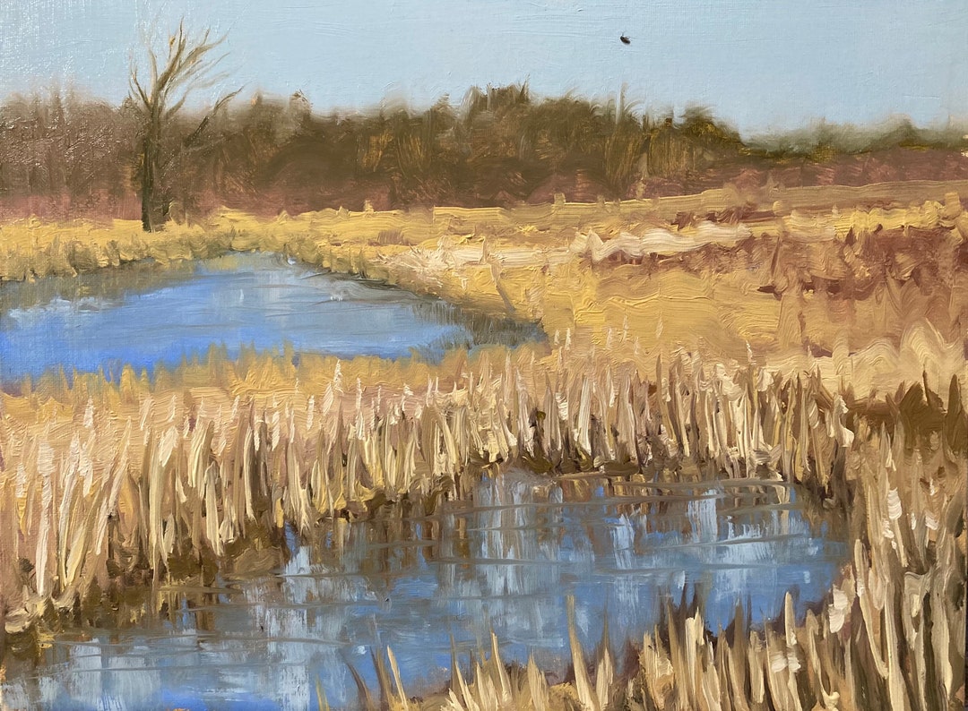 Wetlands, Plein Air. Original Oil Painting by Darrell Licata - Etsy