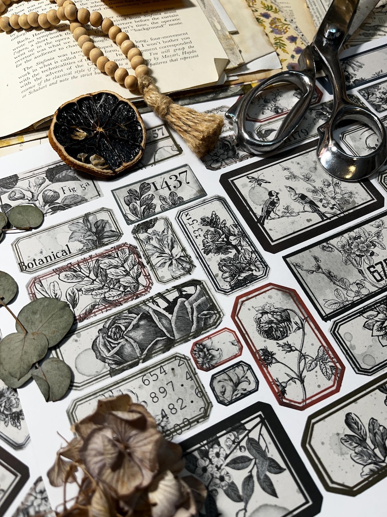Vintage Botanical Labels, Grungy Ephemera for Junk Journaling (digital ...