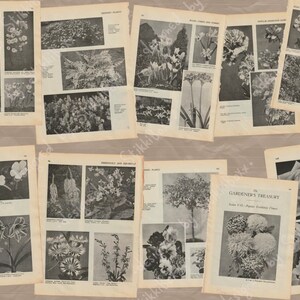 Vintage Flower Book Pages Digital Download Printable Junk Art Journal ...