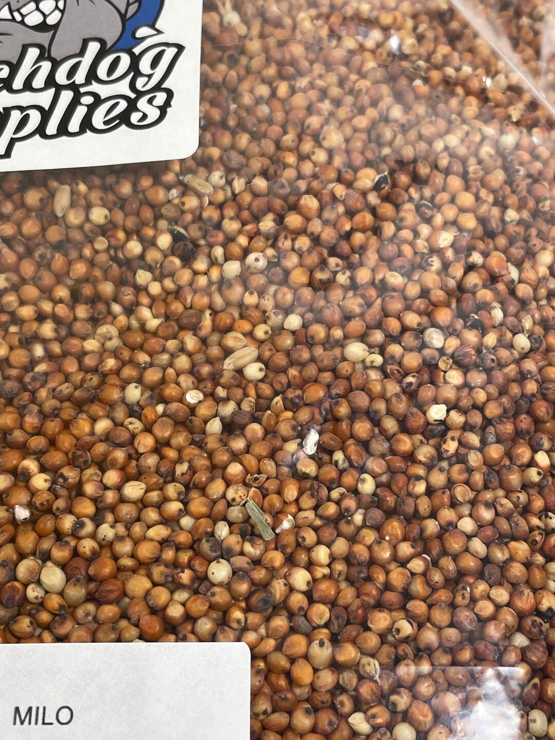 Raw Whole Milo 2000 Gr/4 LB Uncooked Grain Mushroom Growing Dry Whole Milo - Etsy