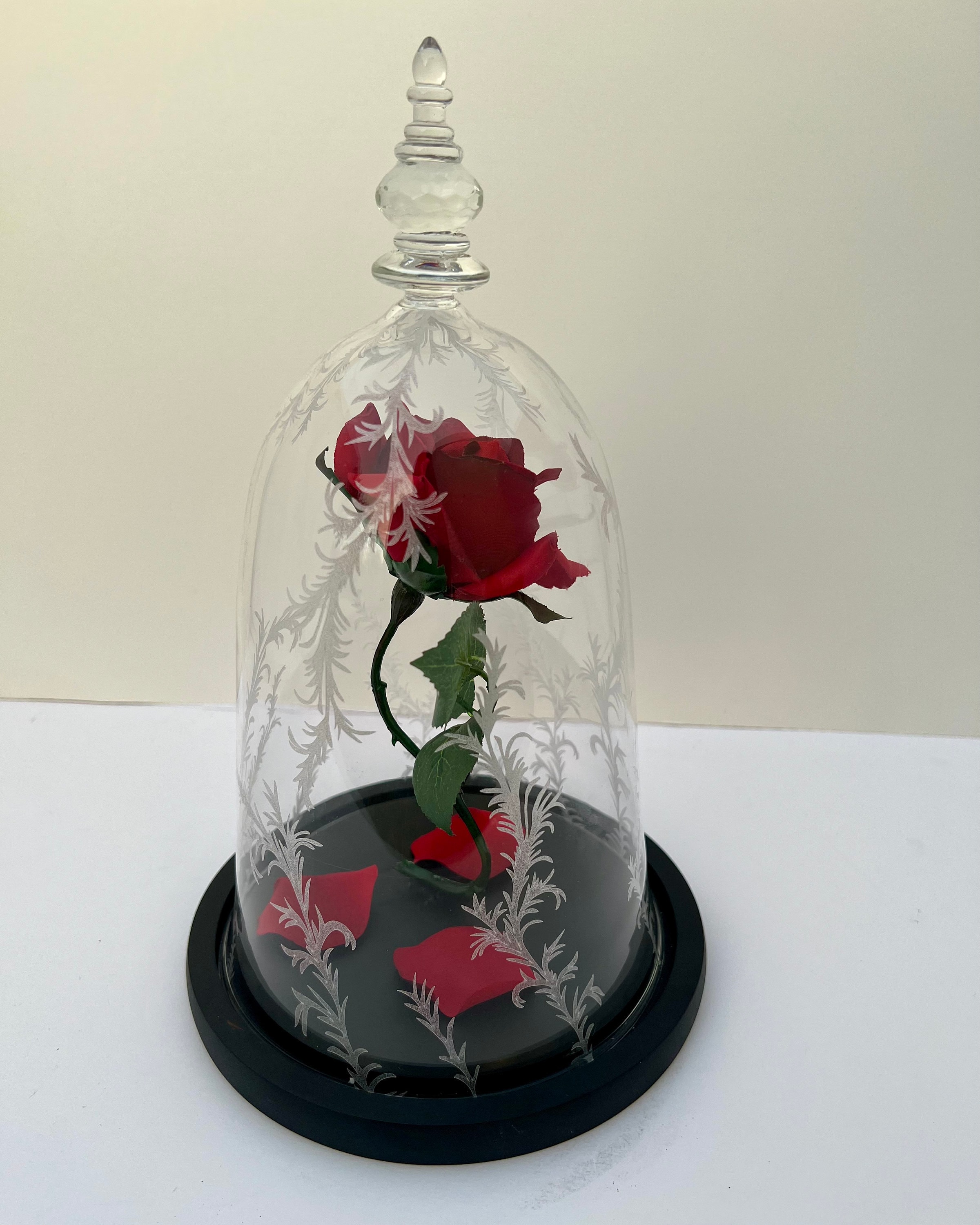 Enchanted Rose - Etsy