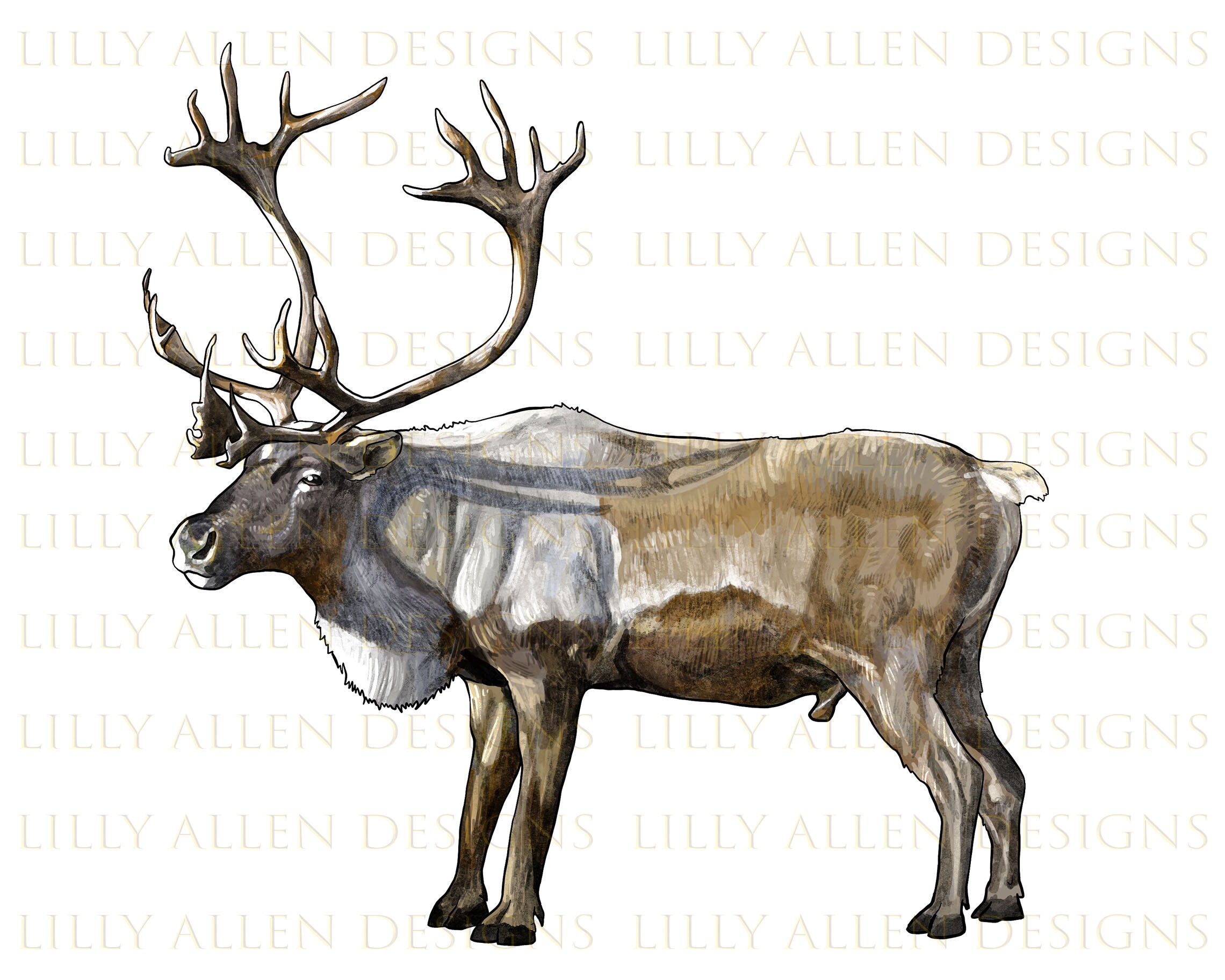 Rentier Bock Png, Bock Png Sublimation Design, Hirsch Png ...