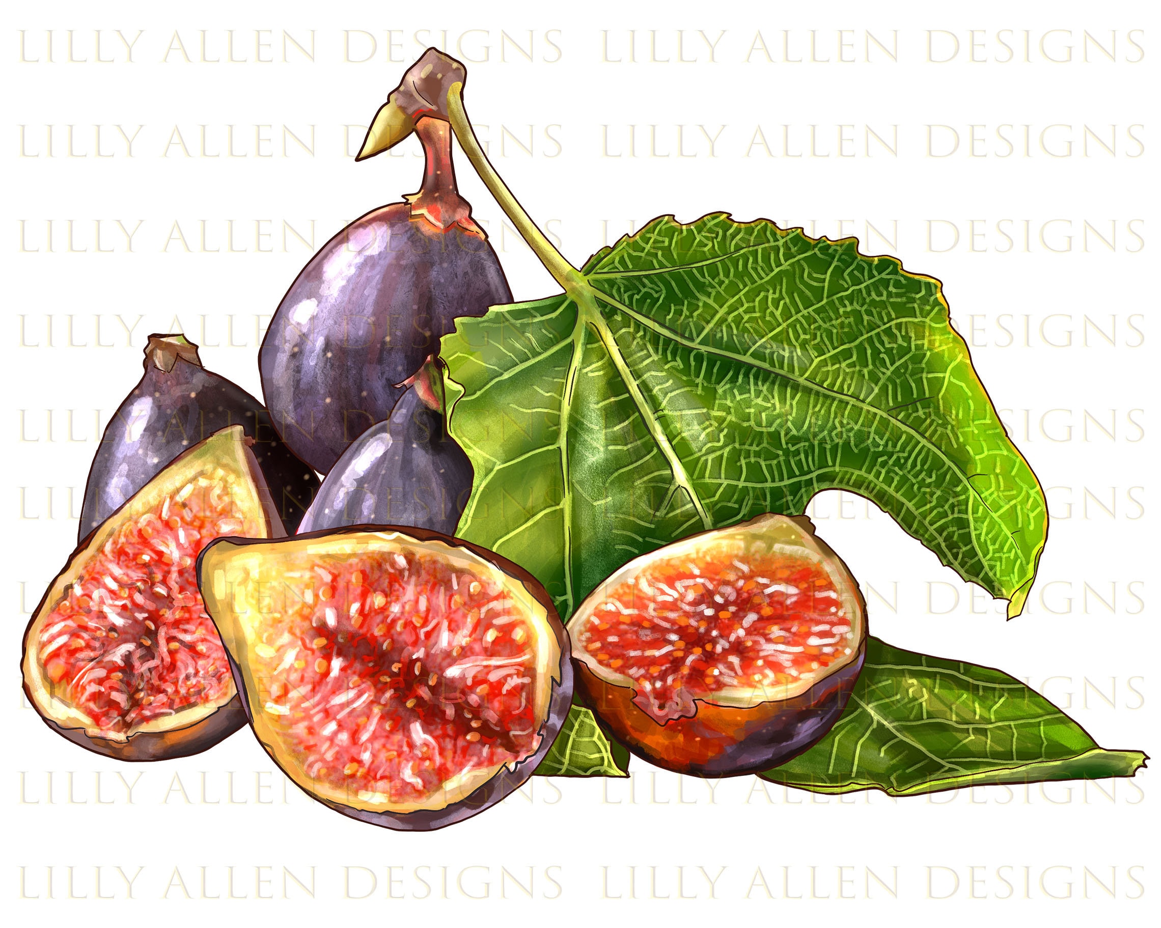 Fig Fruits Images Clipart