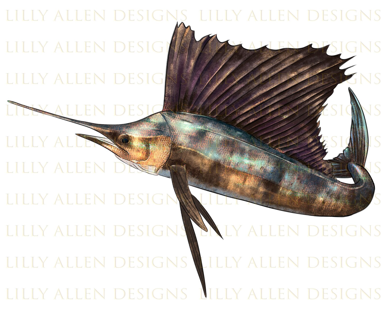 Atlantic Sailfish Illustrations Png Digital Downloadfish - Etsy
