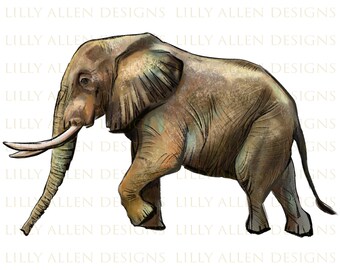 Elephant Png Sublimation Design, Hand Drawn Elephant Png, Elephant ...