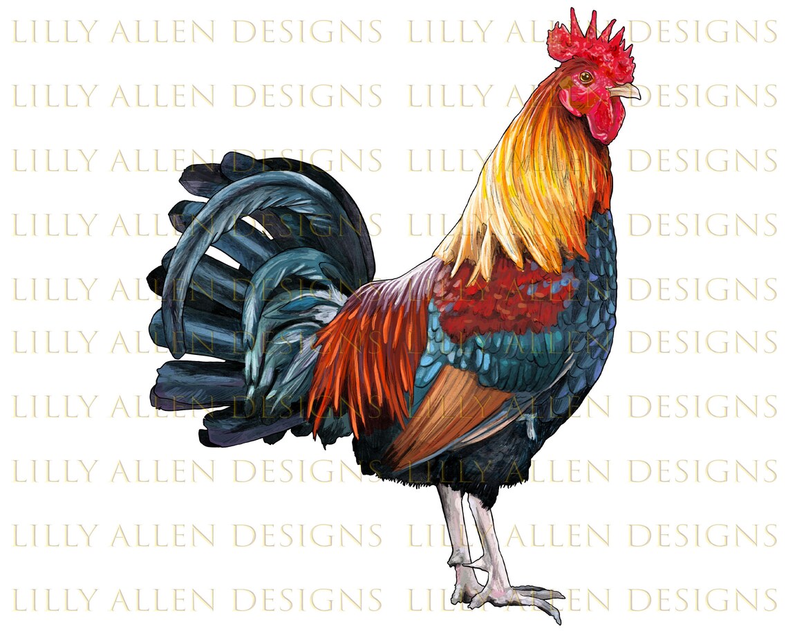 New Hampshire Red Rooster Png Rooster Png Rooster | Etsy