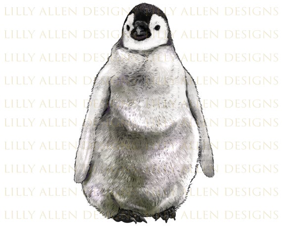 Realistic Baby Penguin Drawing