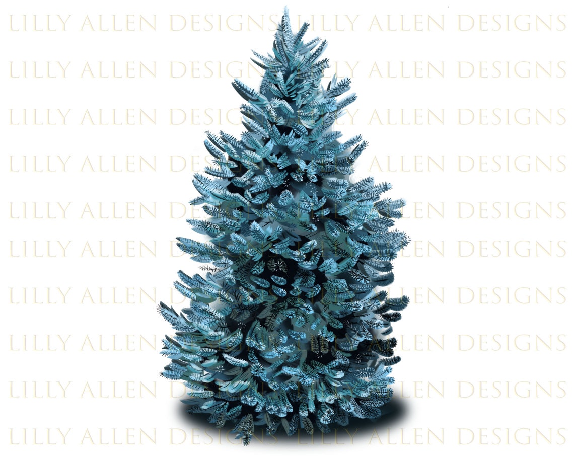 Blue Spruce Tree Illustrations Png Digital Download Spruce - Etsy