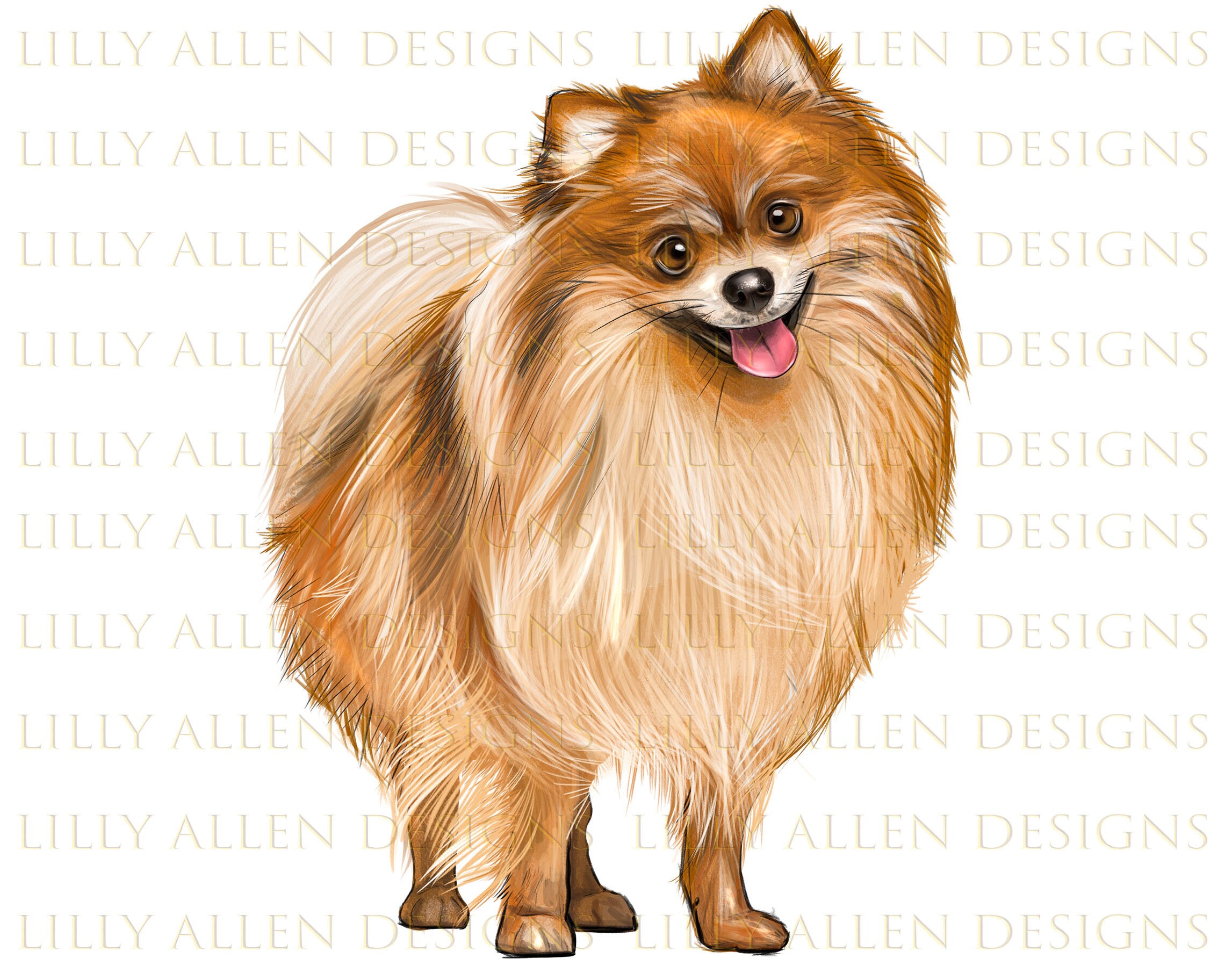 Pomeranian Dog Illustrations Png Digital Download Dog Png - Etsy Canada