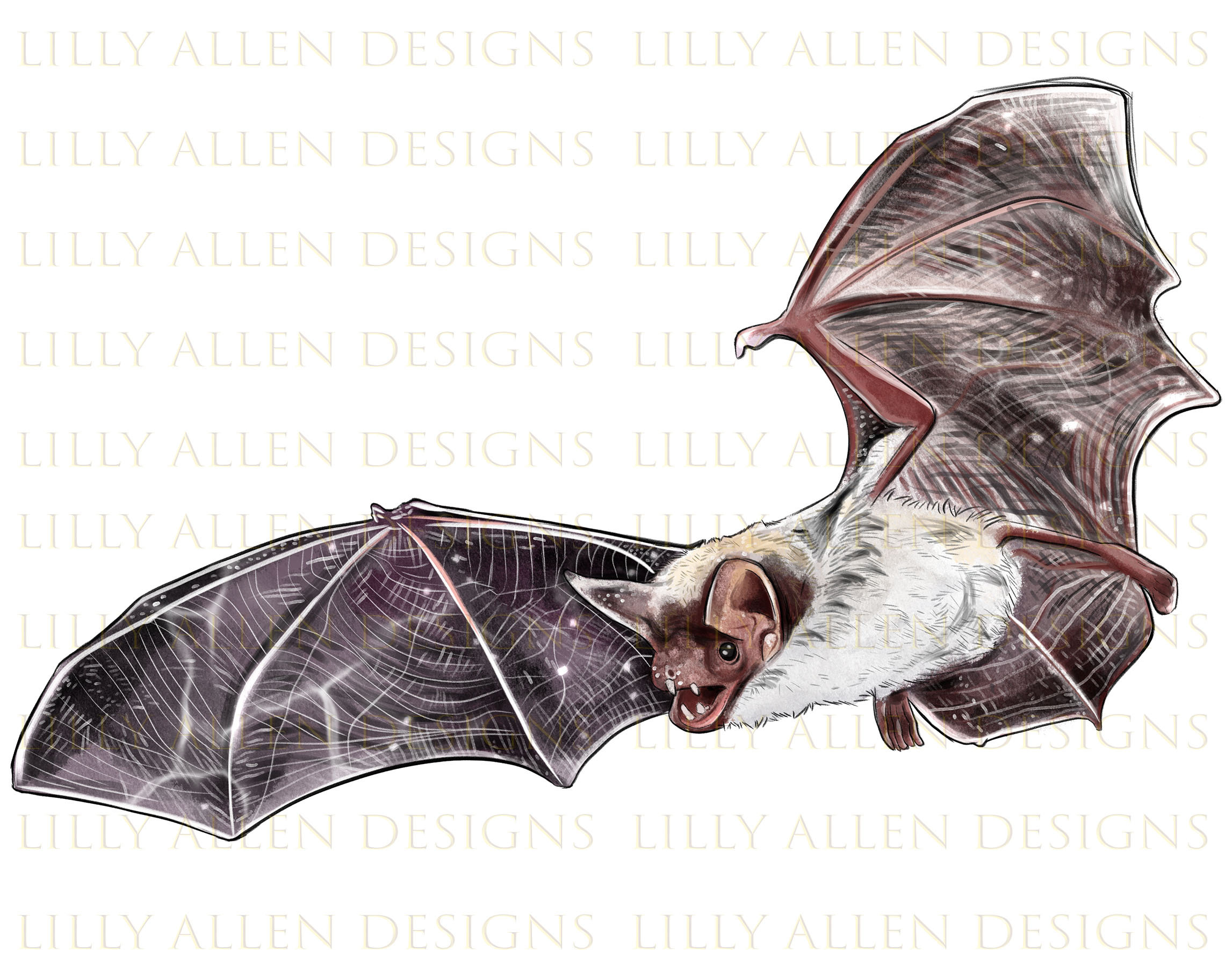 Mexican Tail Bat