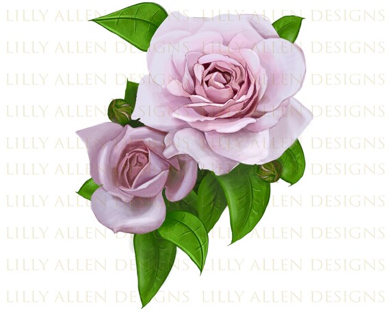 Silver Lining Rose Png Rose Png Sublimation Design Hand | Etsy