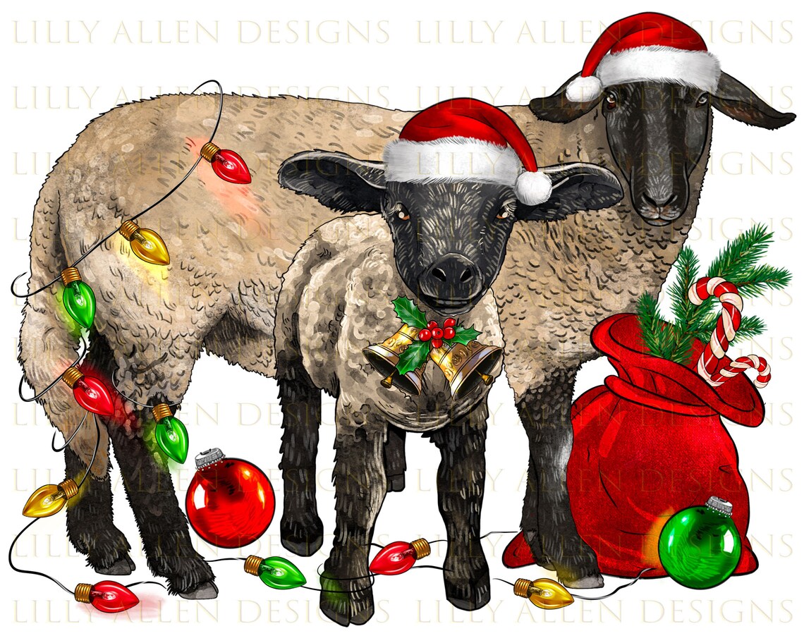 Christmas Suffolk Sheep and Baby Suffolk Sheep Png Sublimation - Etsy