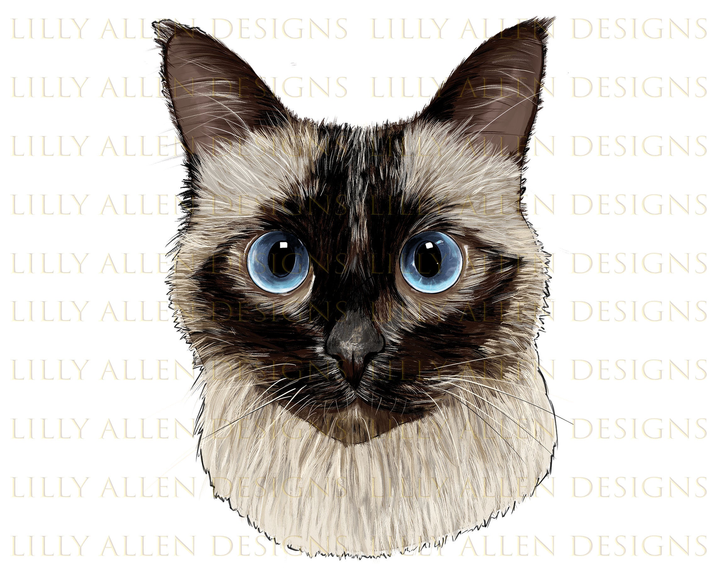 Siamese Cat Face Drawing