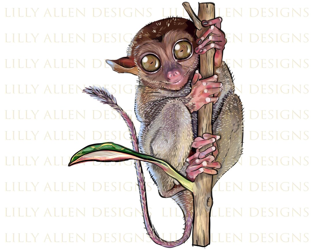 Tarsier Illustrations Png Digital Download, Tarsier Illustration Png ...