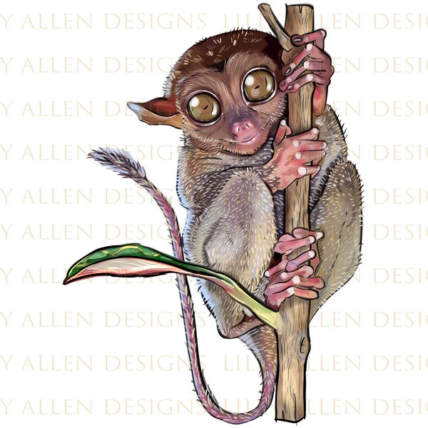 Tarsier - Etsy