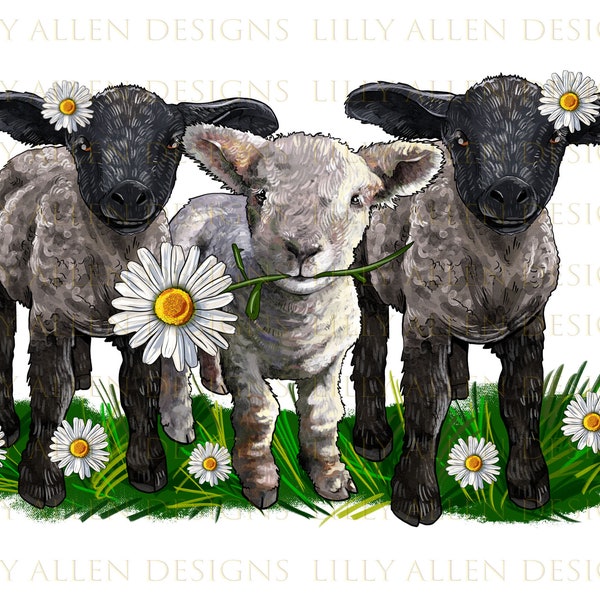 Sheep Png - Etsy