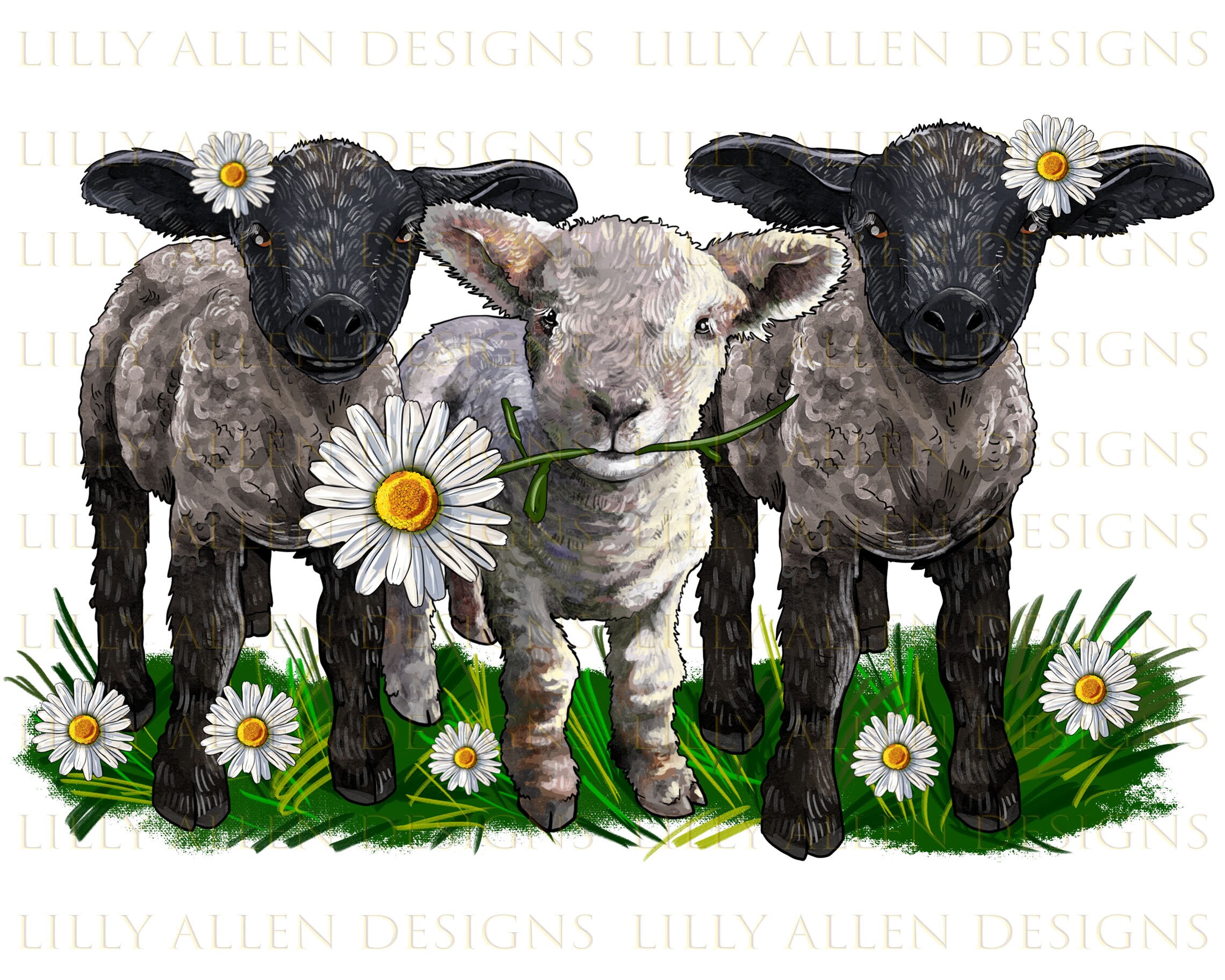 Baby Sheeps With Daisies Pnghand Drawn Baby Sheep Pngbaby | Etsy