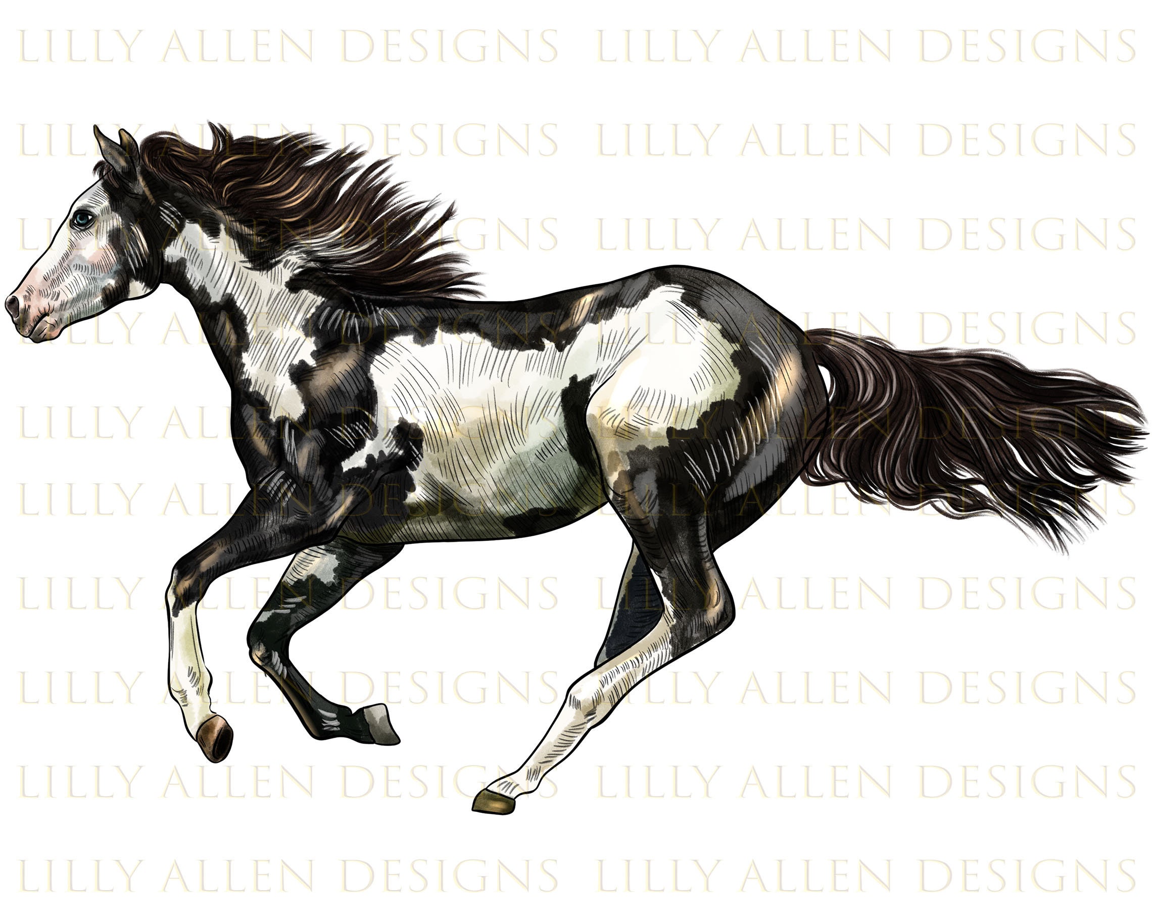 American Paint Horse Png Horse Clipart Horse Png Sublimation | Etsy