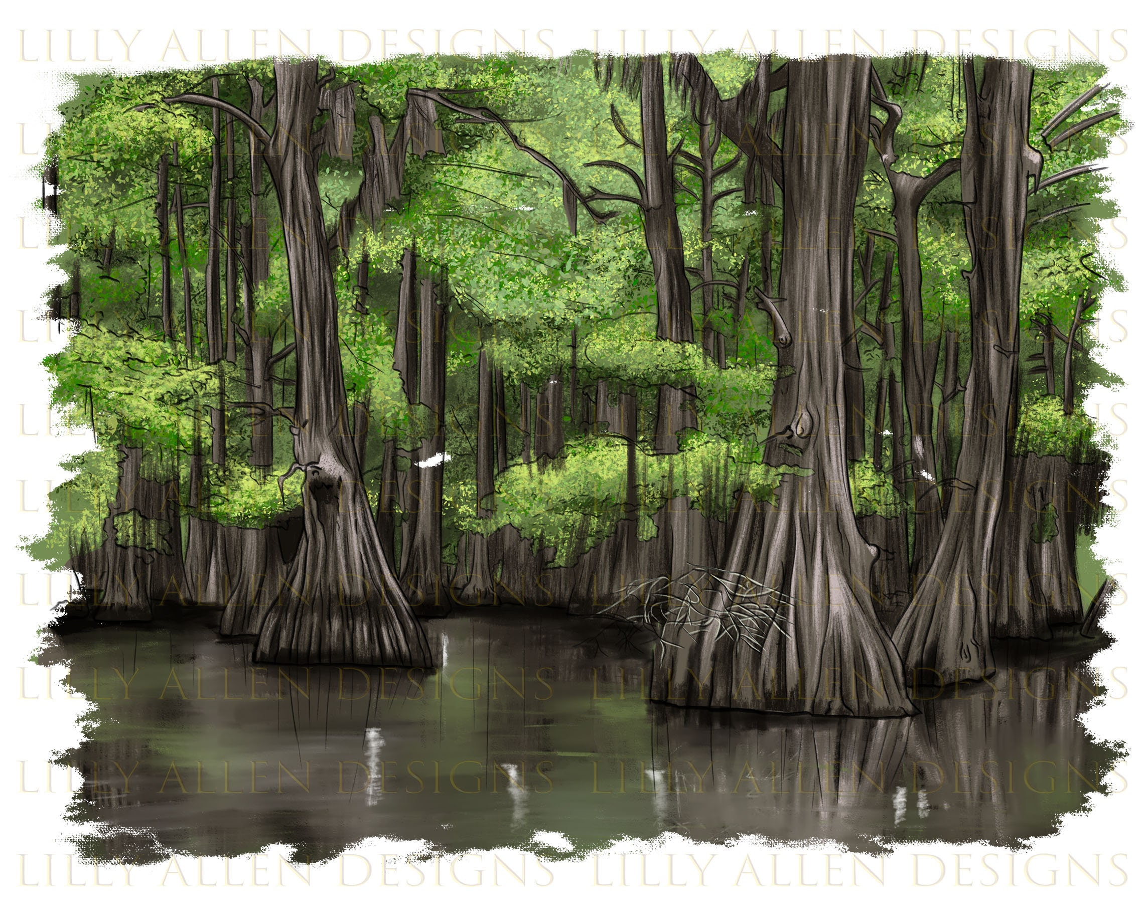 Cypress Tree Swamp Drawing