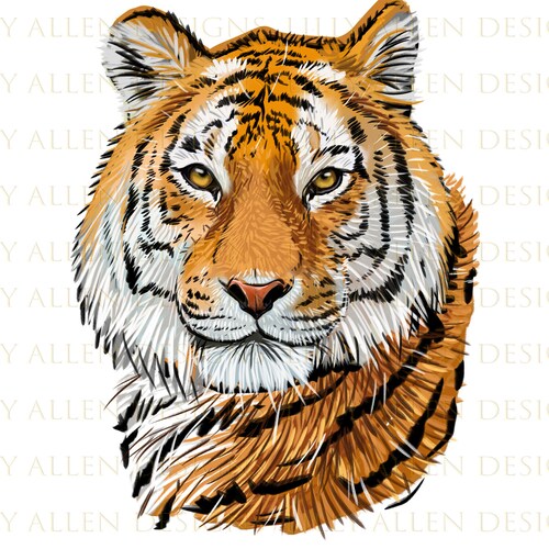 Tiger Illustrations Png Digital Download Tiger Sublimation - Etsy