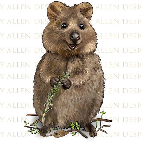 Quokka Art - Etsy