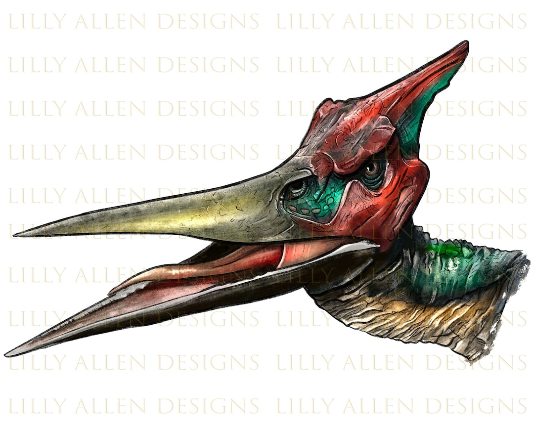 Pteranodon Face Png Sublimation Design, Hand Drawn Dinosaur Png ...