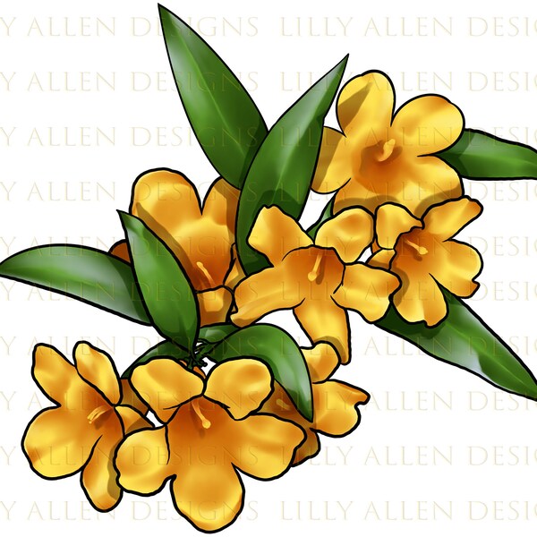 Image Download - Etsy