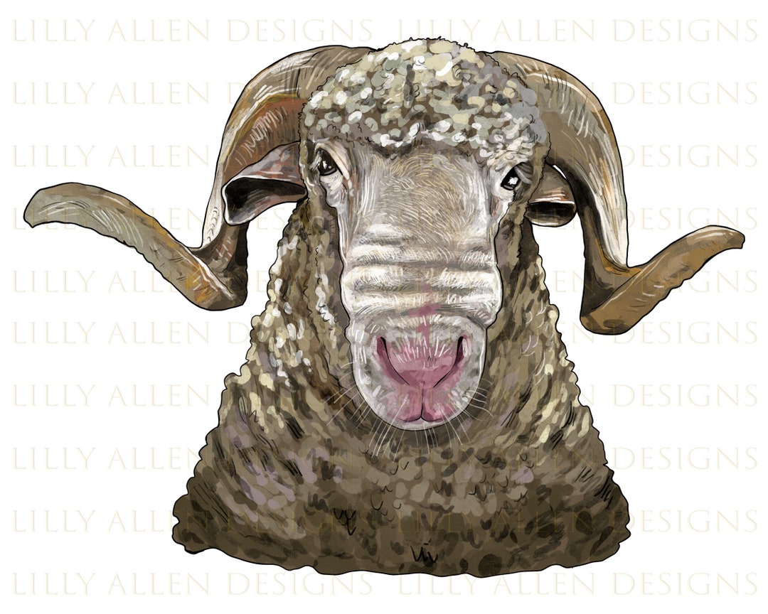 Rambouillet Sheep Head Pngrambouillet Sheep Pnghand Drawn - Etsy