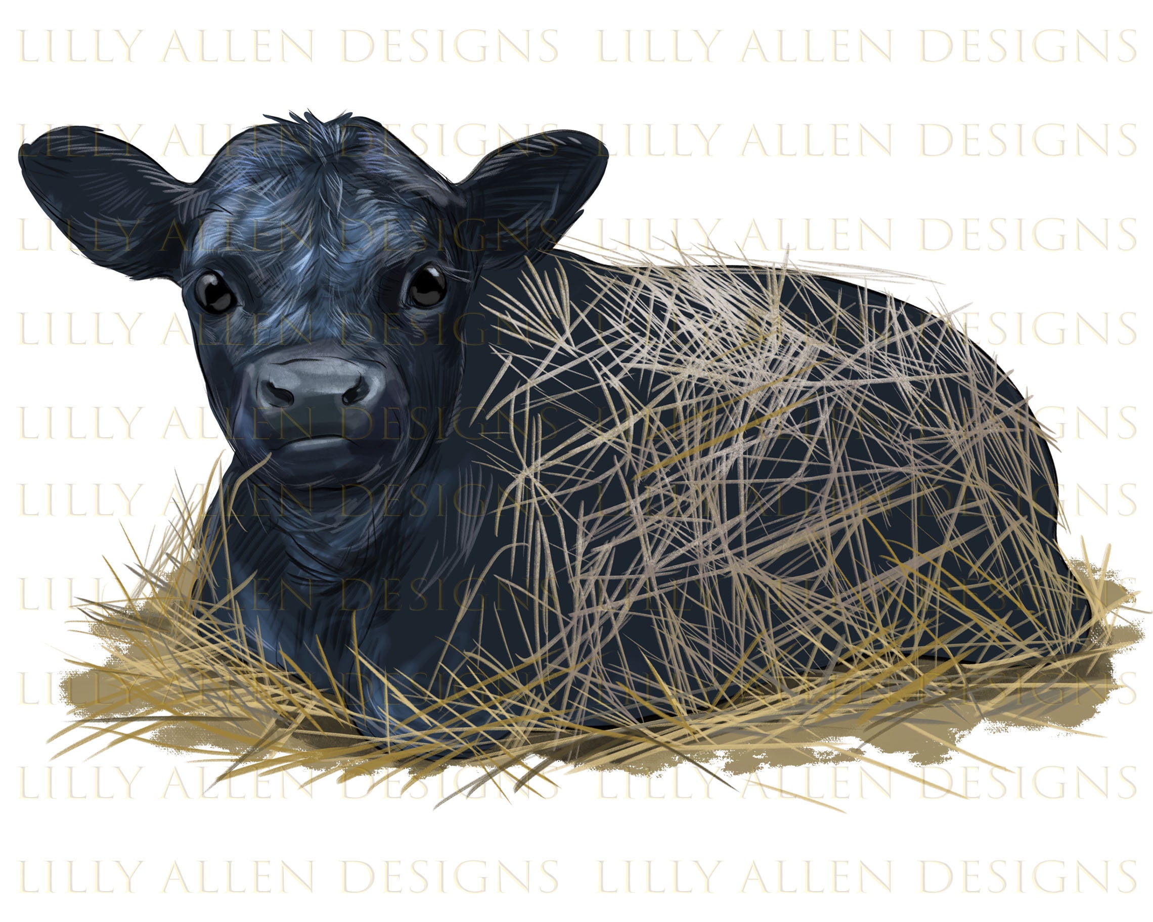 Black Angus Calf Bucking Clipart