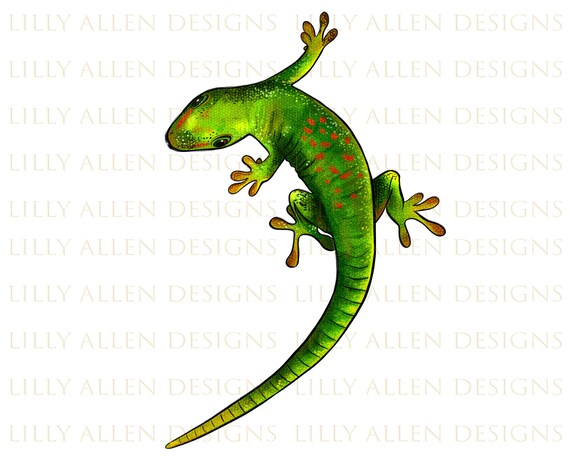 Green Lizard Illustrations Png Digital Downloadreptile - Etsy