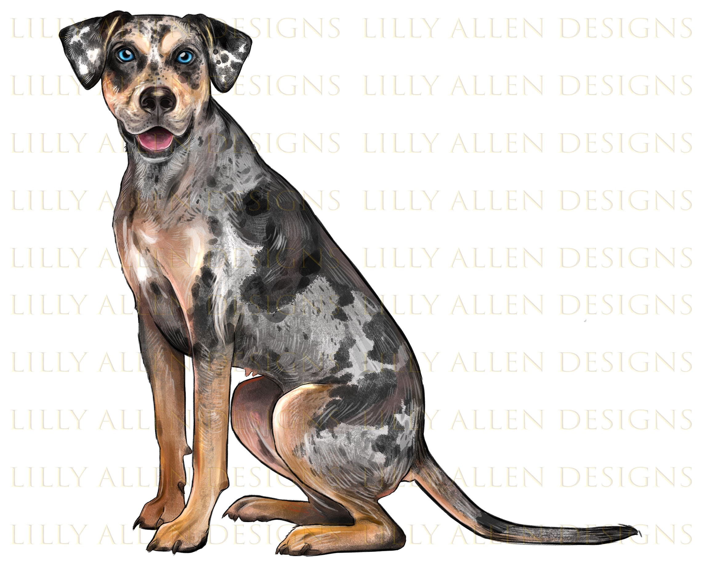 What Kind Of Dog Toys Does A Catahoula Leopard Dog Like