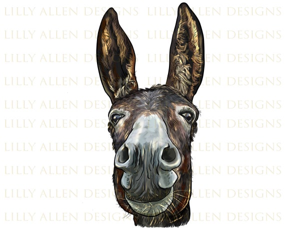 Donkey Face Png Donkey Png Sublimation Design Donkey Png | Etsy UK