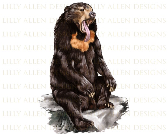 Malayan Sun Bear Png Sublimation Design Hand Drawn Malayan - Etsy