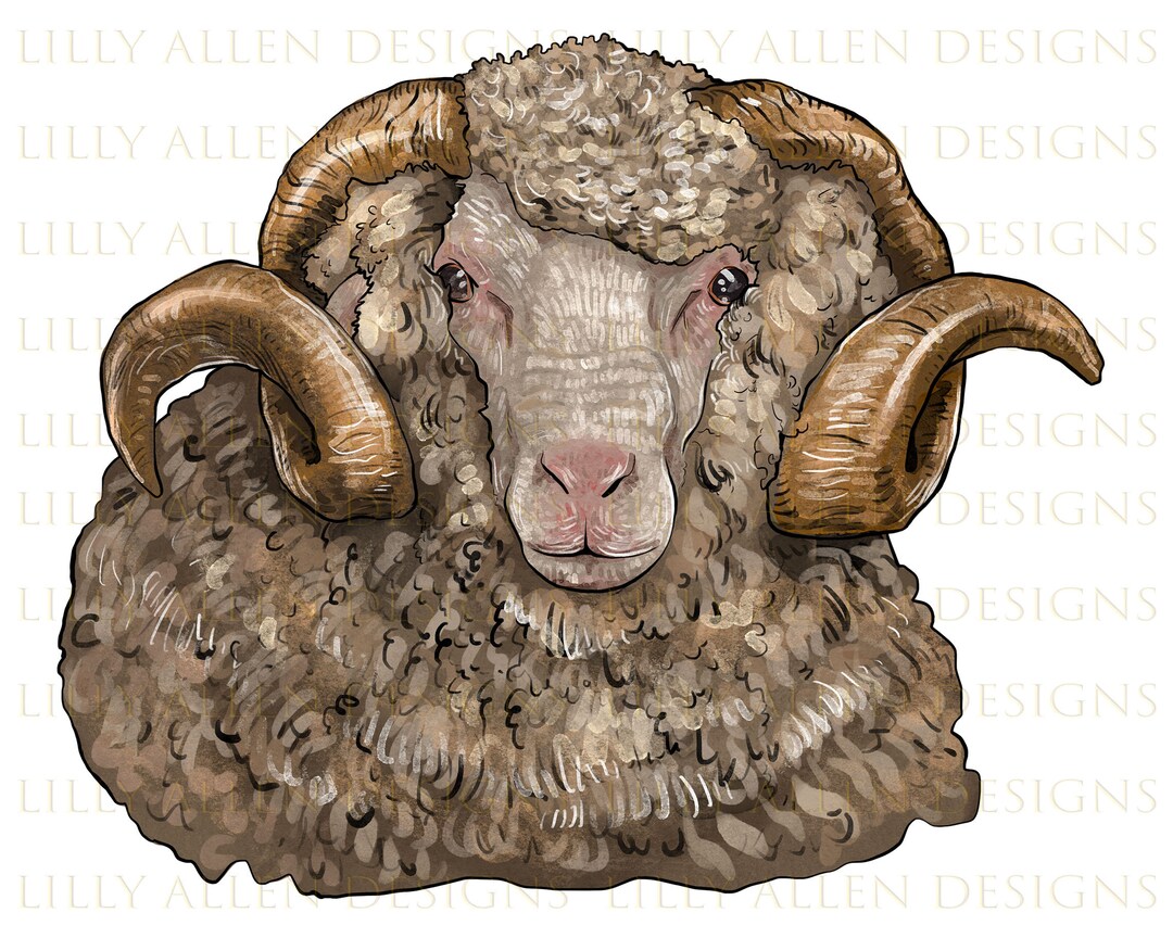 Merino Sheep Head Png, Sheep Png Sublimation Design, Sheep Pn, Hand ...