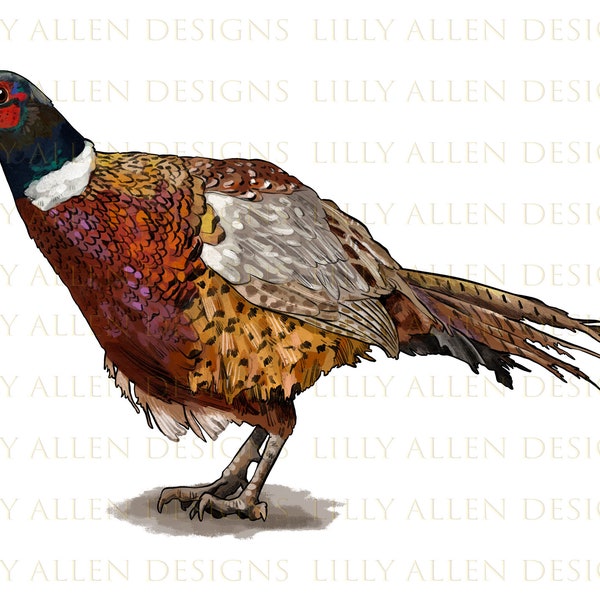 Pheasant - Etsy