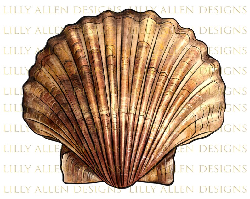 Japanese Scallop Shell Png Sublimation Design Shell Png Sea - Etsy