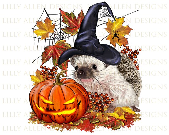 Halloween Hedgehog Png Sublimation Design Halloween Png Fall - Etsy