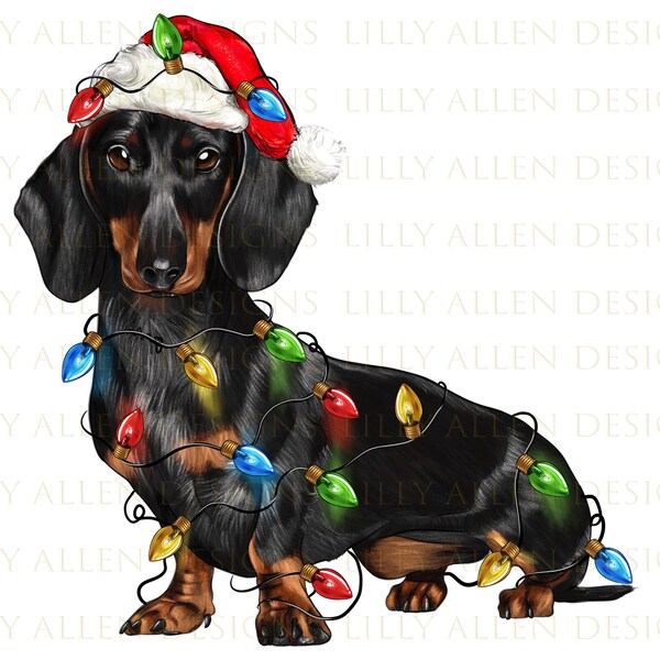 Christmas Dachshund - Etsy