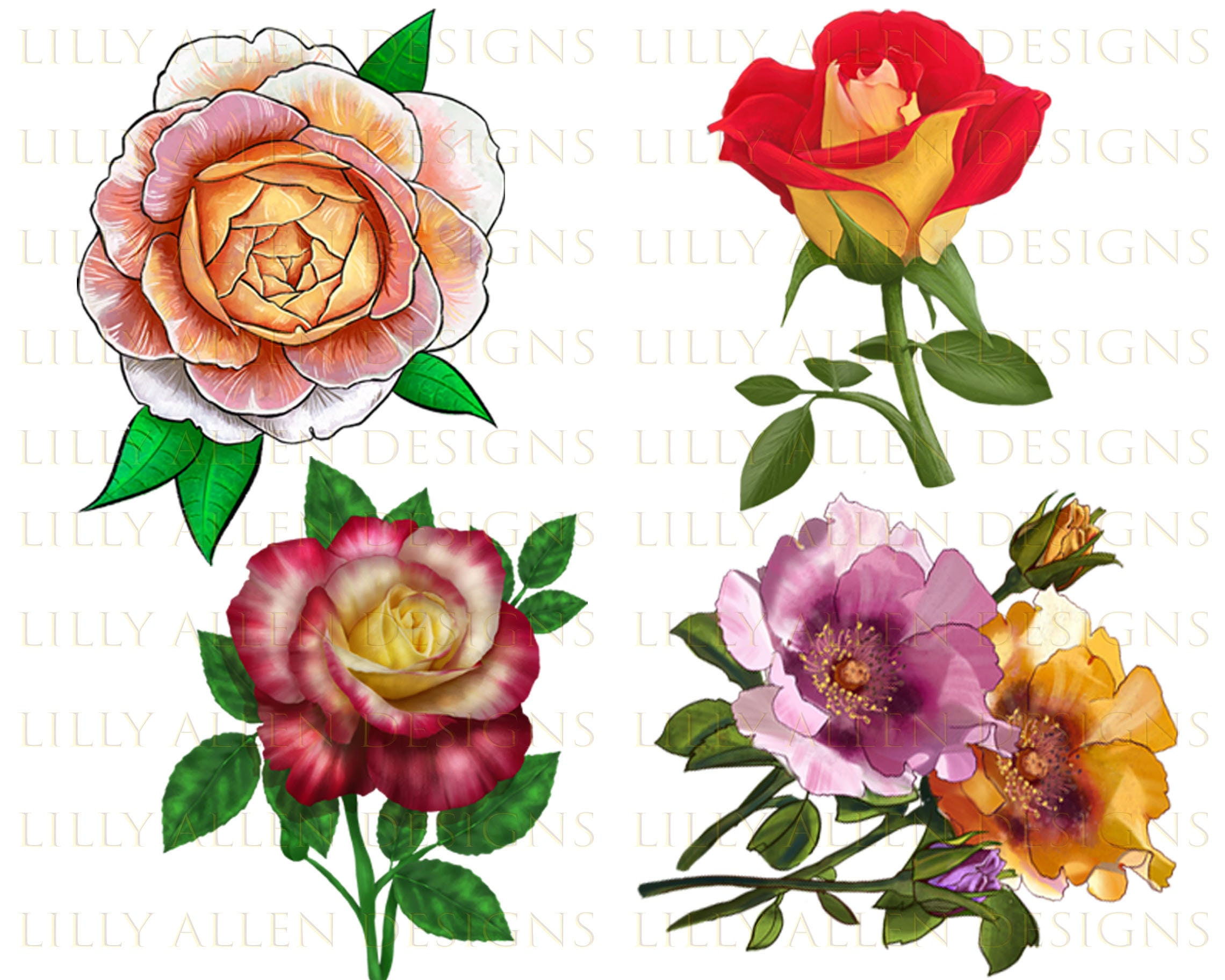 Rose Bundle Png Sublimation Design Set of 28 Rose Png Hand - Etsy