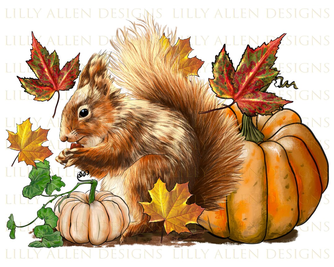 Fall Squirrel Png Sublimation Design, Pumpkin Fall Squirrel Png, Fall ...