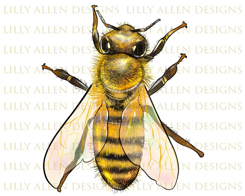 Bee Png Sublimation Design, Bee Png, Hand Drawn Bee Png, Bumble Bee Png ...