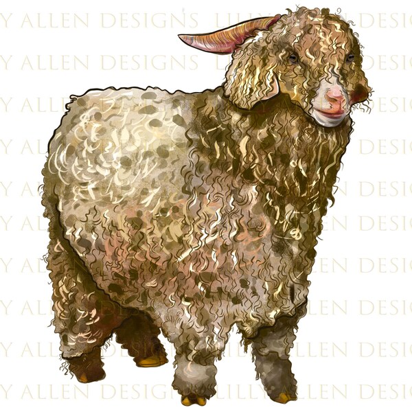 Angora Goat - Etsy